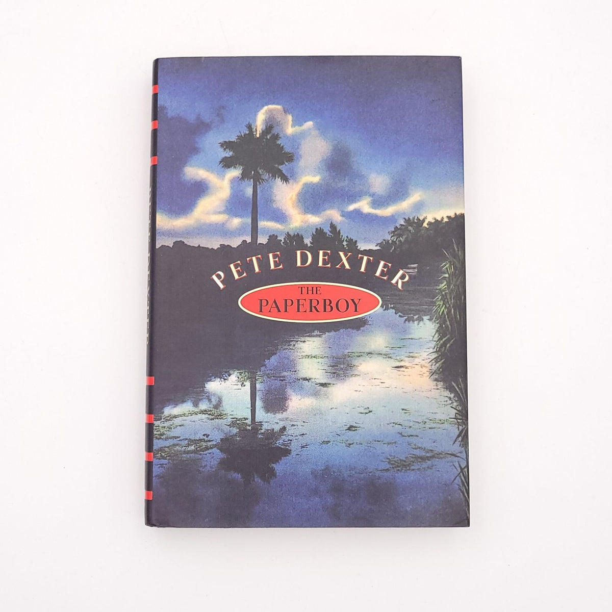 Pete Dexter, "The Paperboy", First Trade Edition 1995 — Antique & Art ...